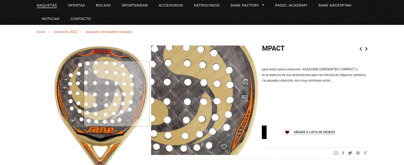 Sane Padel: Best Rackets and Products of this brand